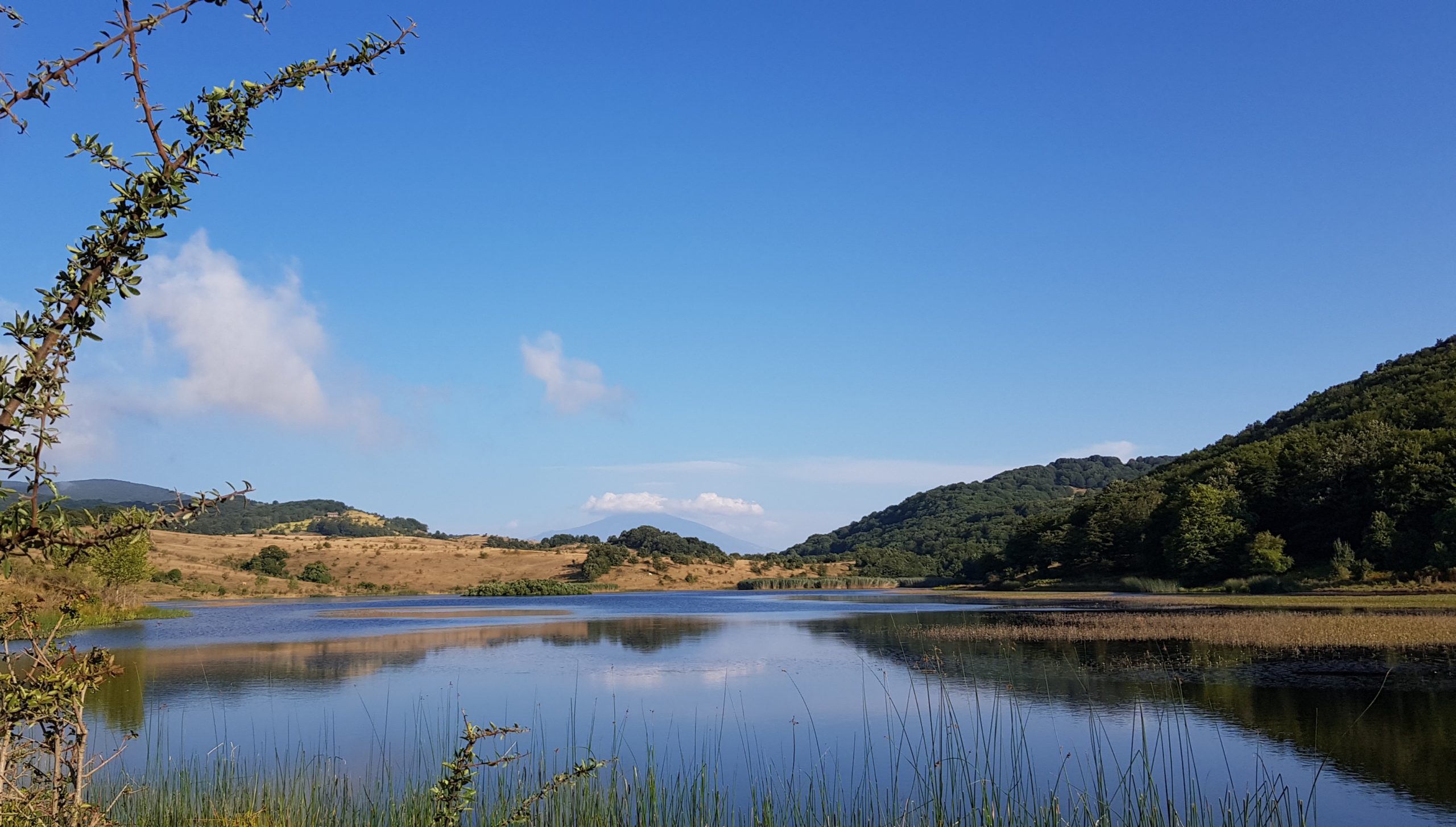 10-296276 - Caramaps