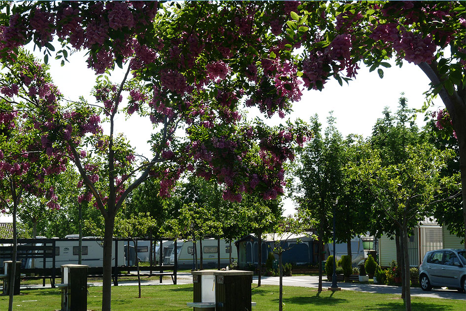 xzSdZ920phuQ - Caramaps