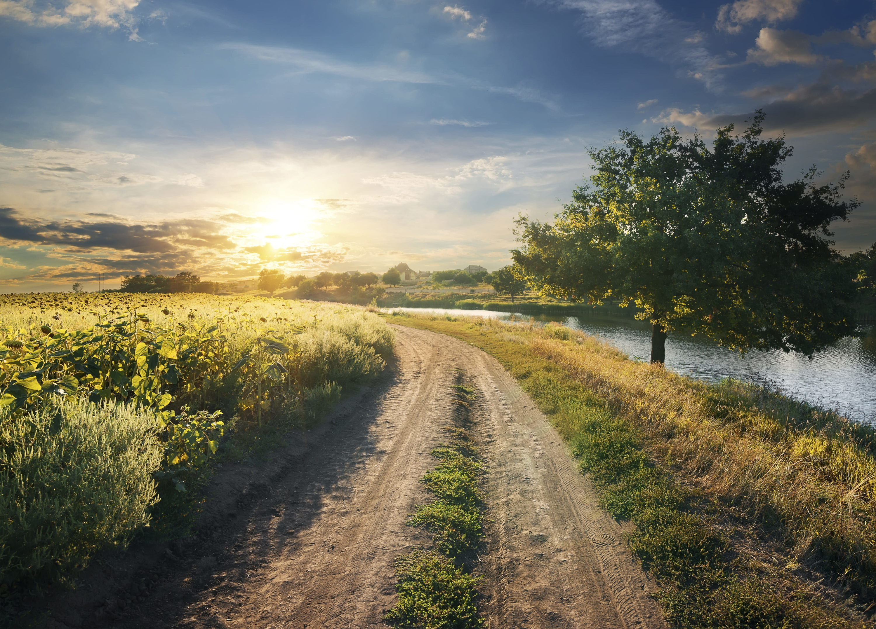 iStock_000053813470_Double - Caramaps